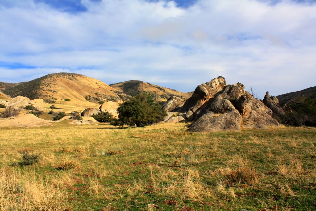 Potreros of the Sierra Madre Mountains | Jack Elliott's Santa Barbara ...