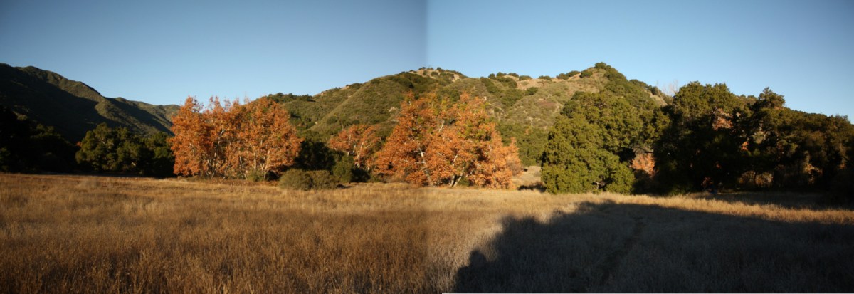 Cottam Camp Morning | Jack Elliott's Santa Barbara Adventure