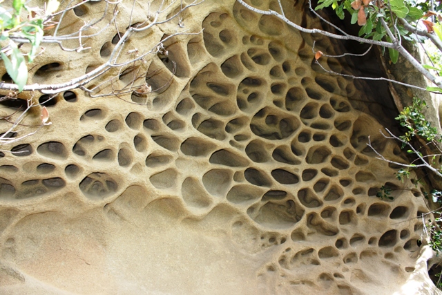 Tafoni Weathered Stone | Jack Elliott's Santa Barbara Adventure