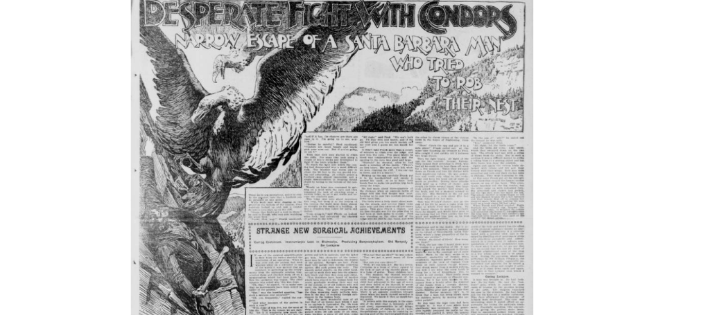 Desperate Fight with Condors: Narrow Escape of Santa Barbara Man (1899 ...