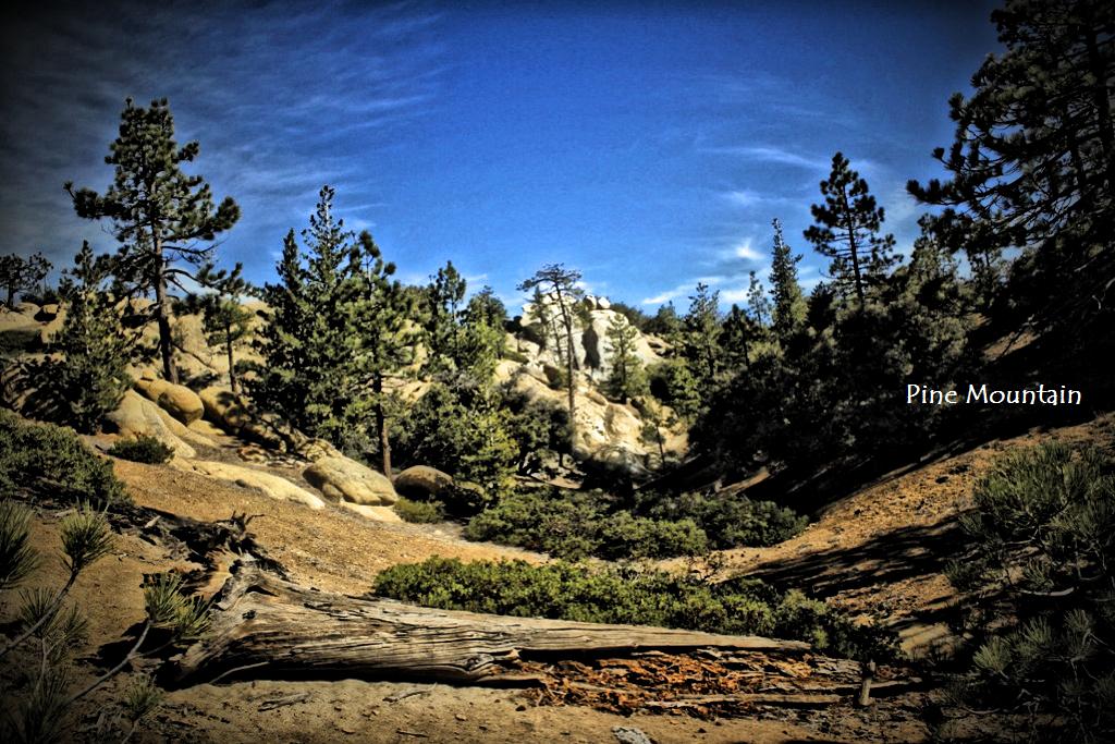 Pine Mountain and Zaca Lake Forest Reserve (1898) | Jack Elliott's ...