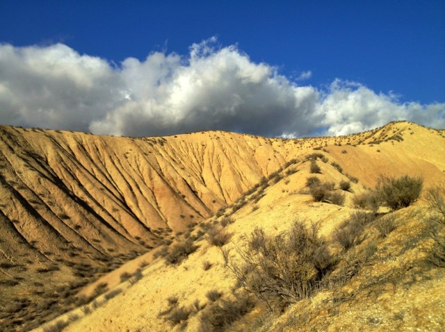 Dragon’s Back Ridge, Carrizo Plain | Jack Elliott's Santa Barbara Adventure