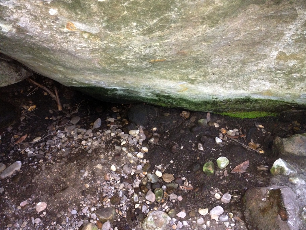 Arrowhead Springs, Drought Resistant Summer Seep | Jack Elliott's Santa ...