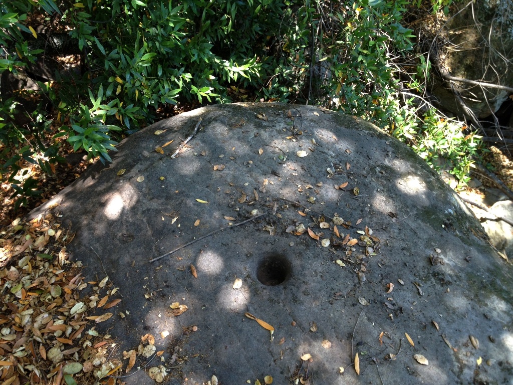 Arrowhead Springs, Drought Resistant Summer Seep | Jack Elliott's Santa ...