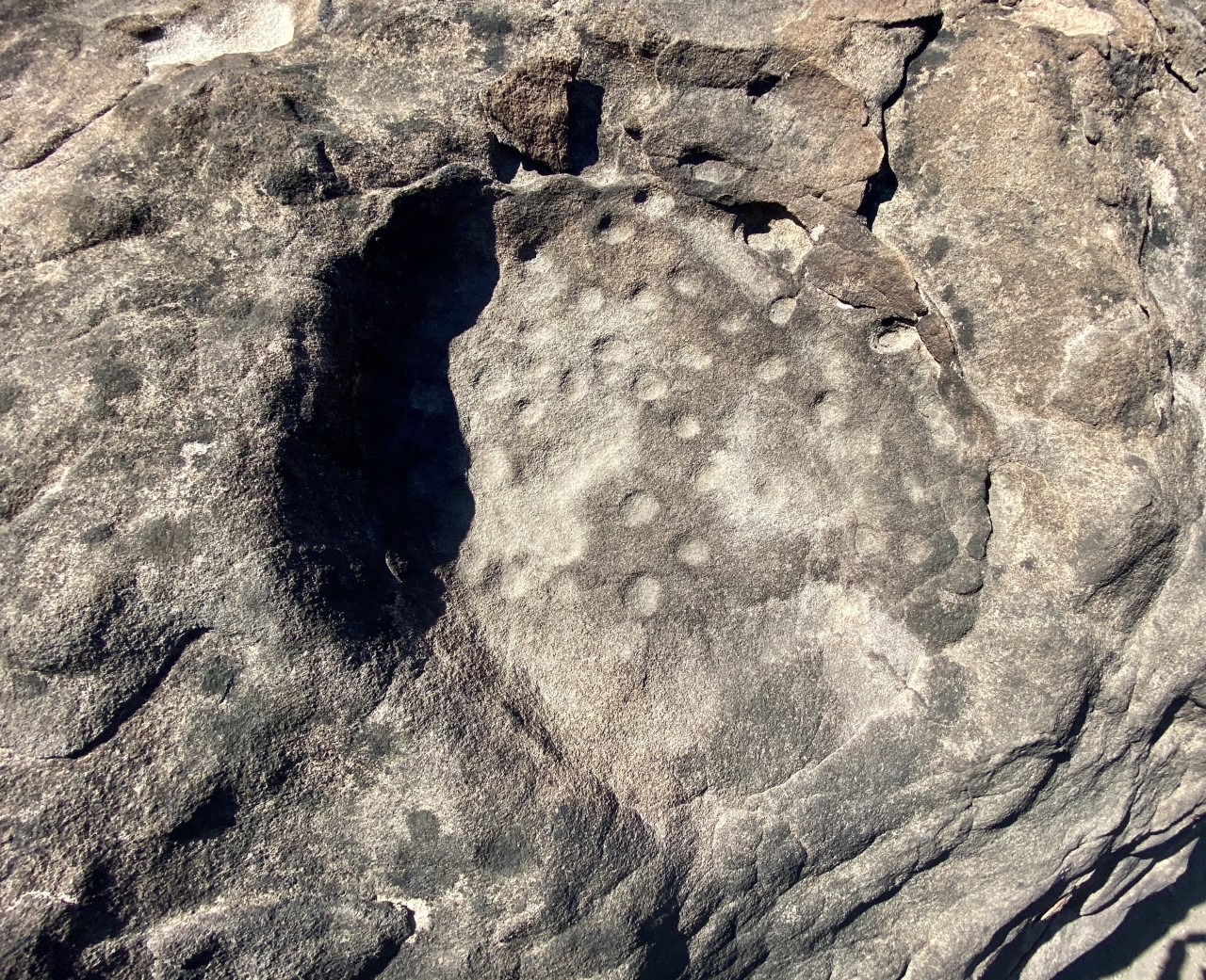 Native American Cupule Boulder Discovered | Jack Elliott's Santa ...