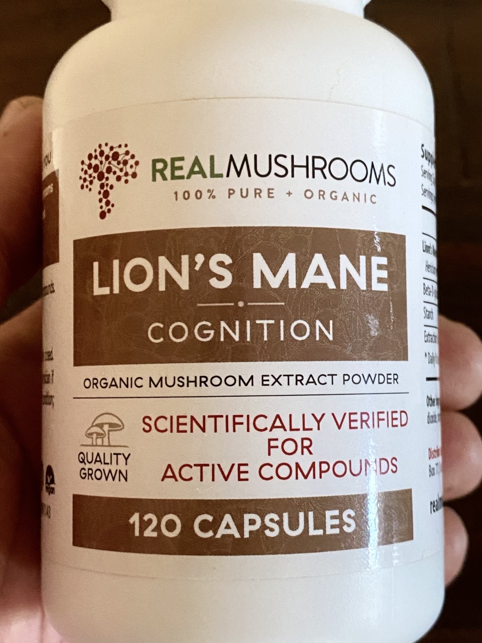 Lion’s Mane, the Smart Mushroom | Jack Elliott's Santa Barbara Adventure
